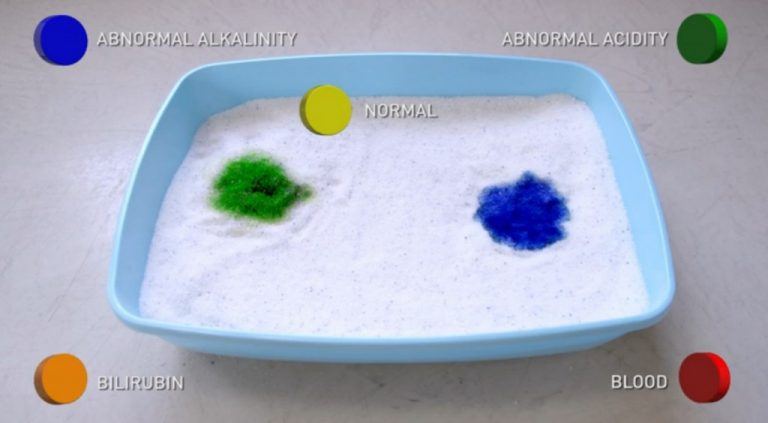 Pretty Litter Reviews: A Good Way To Know About Your Cat’s Health