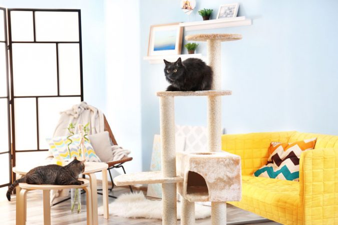 Top 8 Big Cat Tree House Reviews of 2025 - HereKitt.com